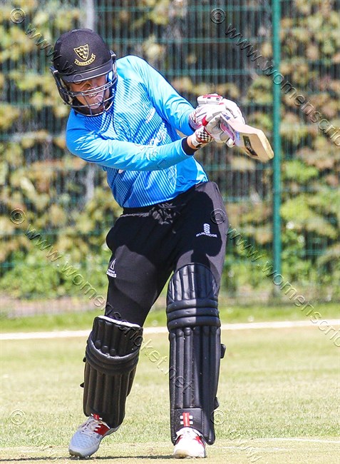 What do you Make of the Numbers? : Women's Cricket on the Web